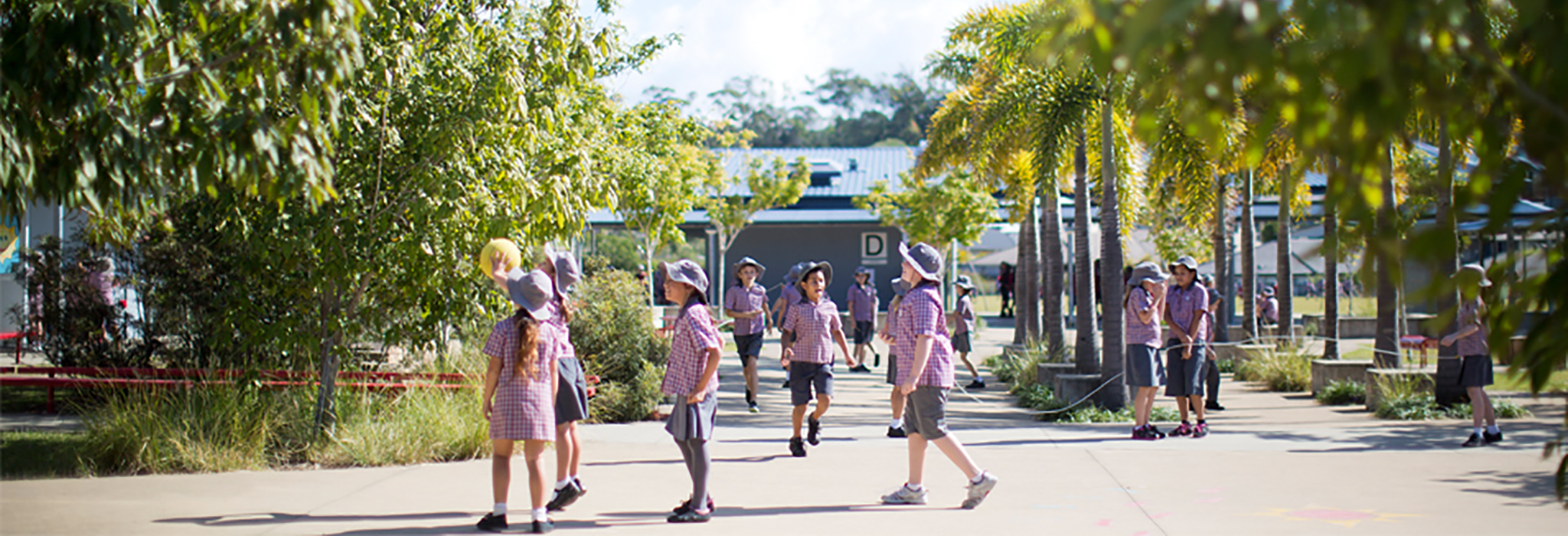 Coomera Springs State School